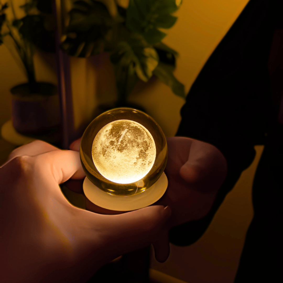 Products – Palmley